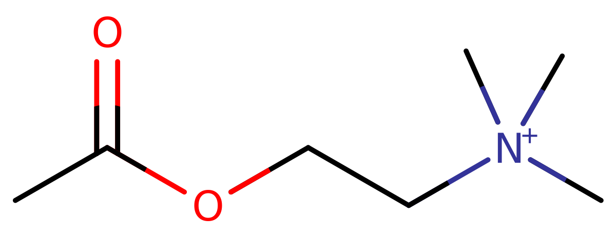 Acetylcholine - PsychonautWiki