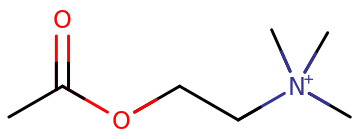 Acetylcholine - PsychonautWiki