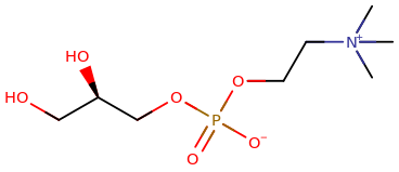Alpha-GPC - PsychonautWiki